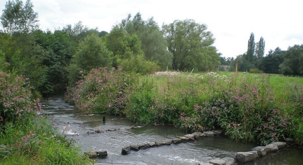 Treis-Allendorf - Lumda | Bodenmanagement Geoinformation